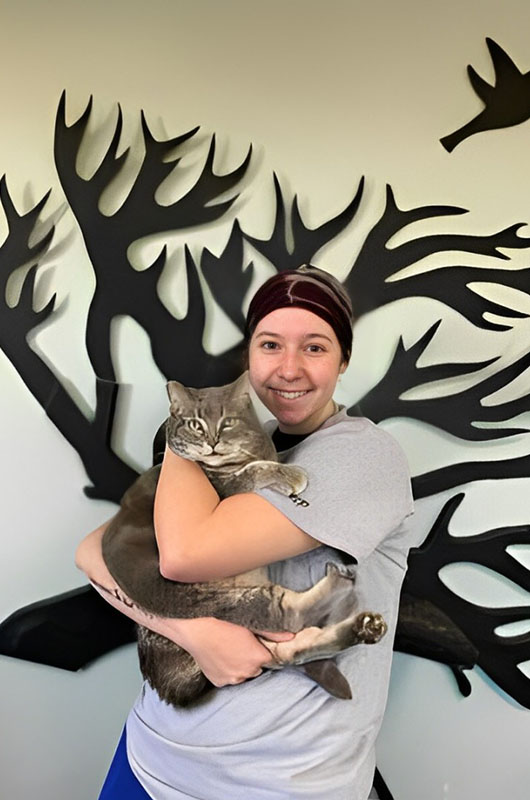 Veterinarian In Millersburg, OH | Wolf Creek Veterinary Services