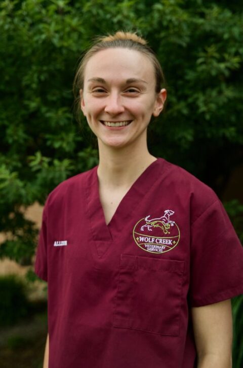 Veterinarian In Millersburg, OH | Wolf Creek Veterinary Services